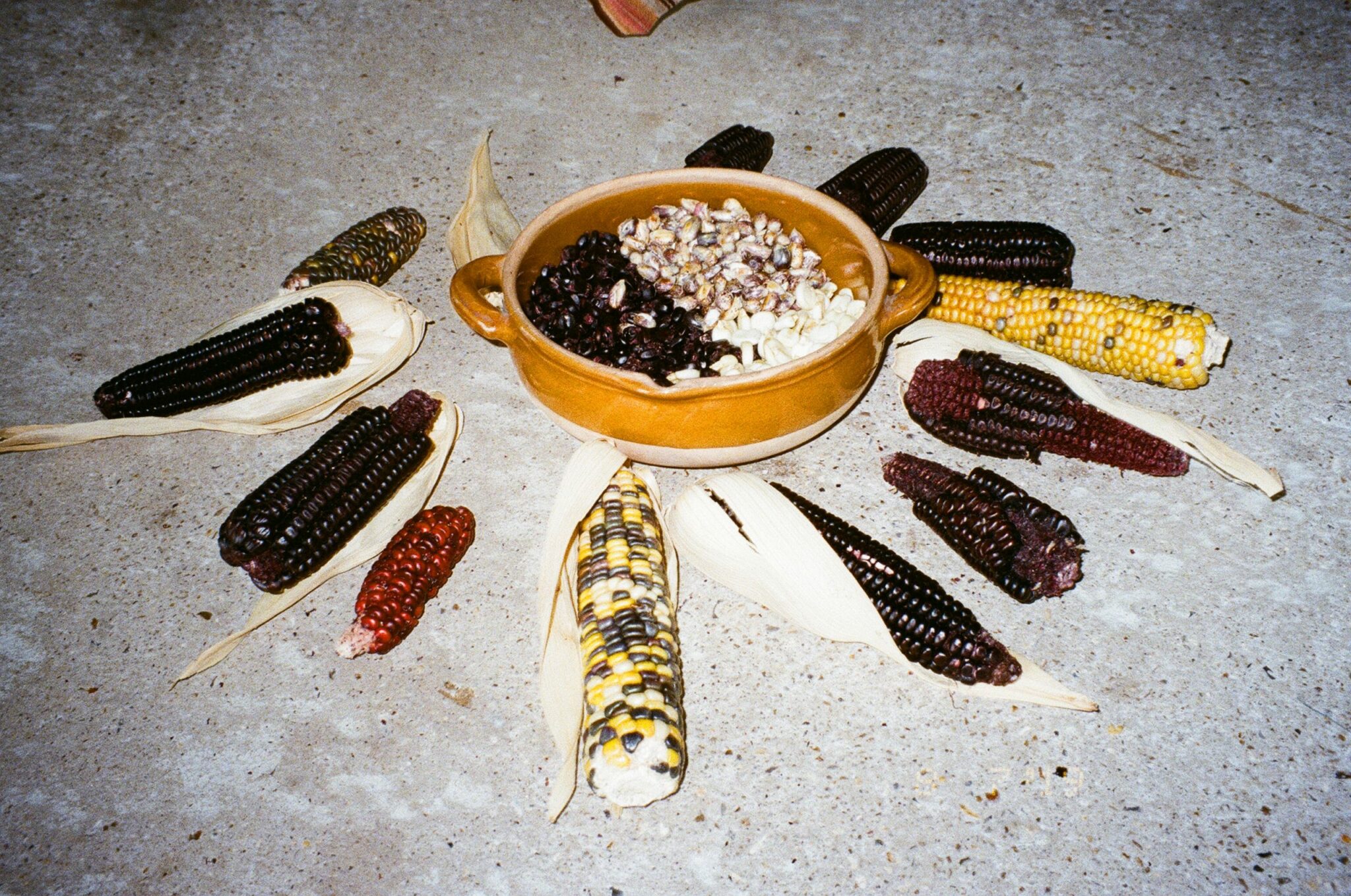 Recipes for Change: Sacred Seeds - Serpentine Galleries