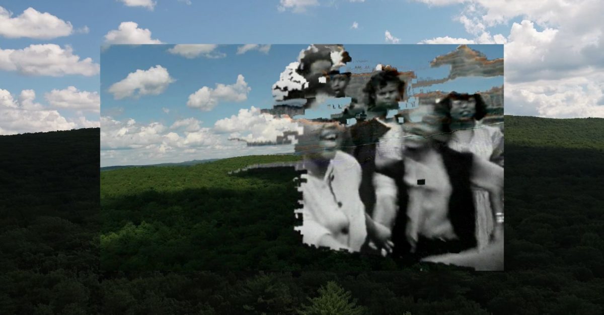 Sondra Perry selected to create the first Dream Commission | Serpentine
