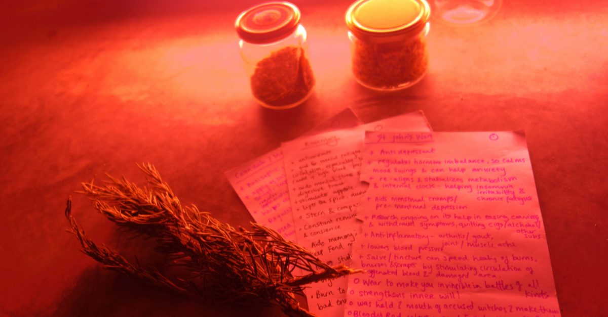 Bones Tan Jones: Fertile Souls - Serpentine Galleries