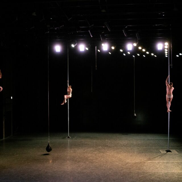 Lenio Kaklea, AΓPIMI (Fauve) - Serpentine Galleries