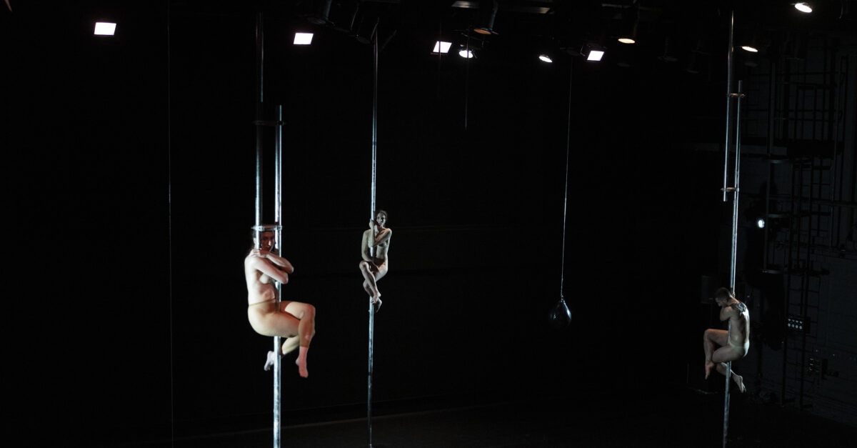 Lenio Kaklea, AΓPIMI (Fauve) - Serpentine Galleries