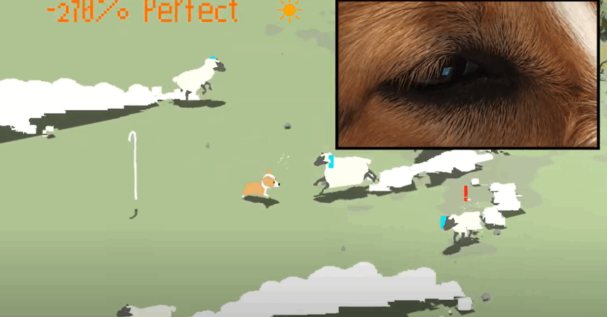 Ian Cheng: Bad Corgi Trailer - Serpentine Galleries