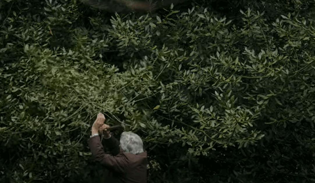 Giuseppe Penone in his Turin studio |Watch | Serpentine